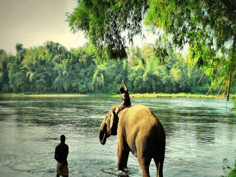 About Cochin